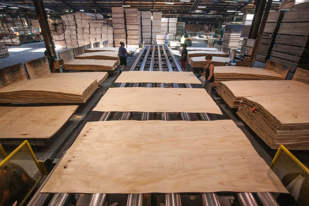 Making Plywood – Plywood + Panel Supplies Plywood + Panel Supplies